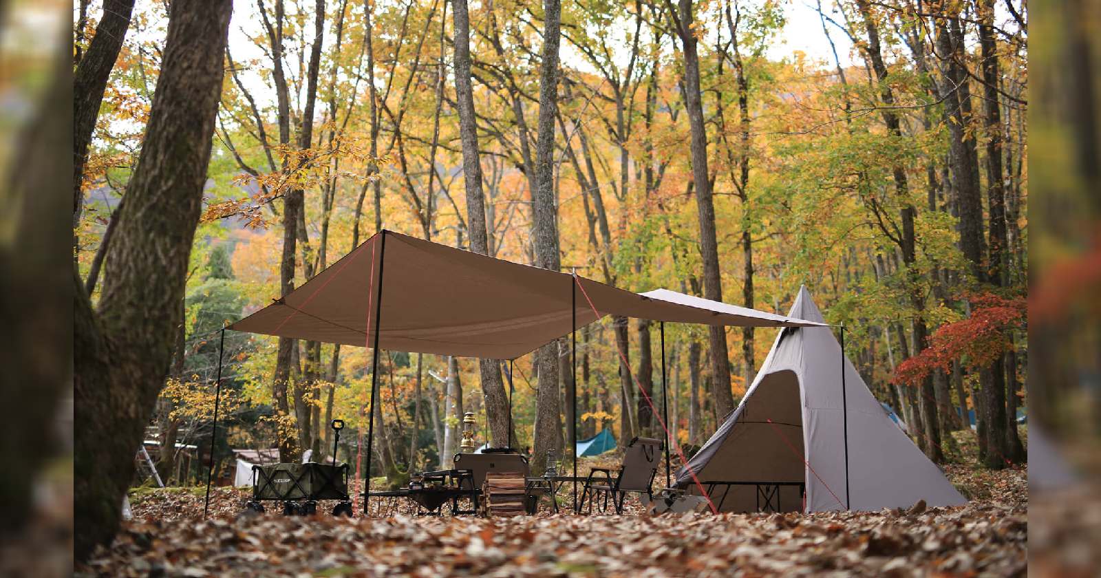 手頃で使いやすい！QUICKCAMP（クイックキャンプ）の特徴＆おすすめギア22選 | TAKIBI（タキビ） | キャンプ・グランピングなどアウトドアの総合情報サイト