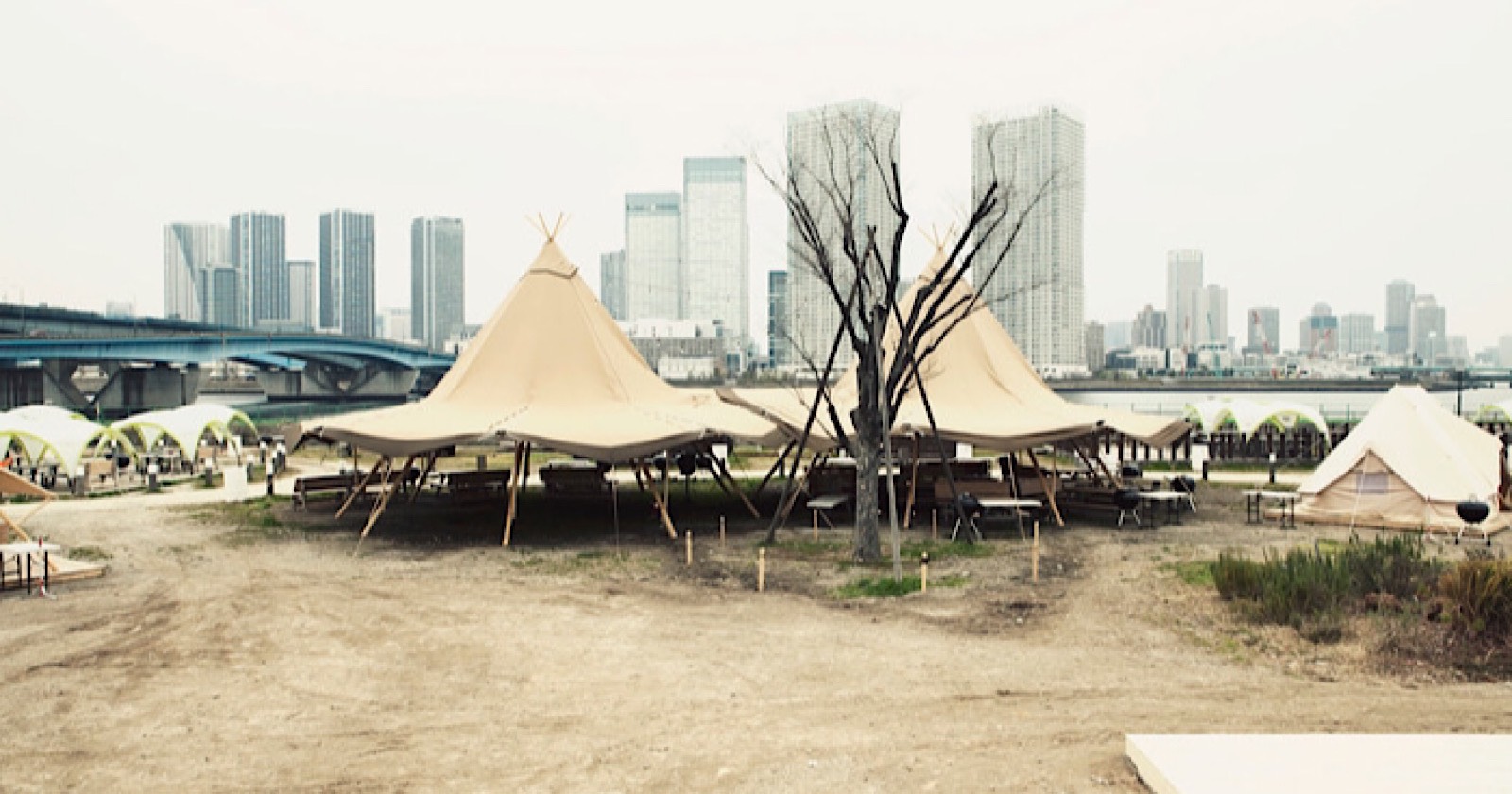 豊洲でグランピングができる！？愛犬と楽しめるって本当？ | TAKIBI（タキビ） | キャンプ・グランピングなどアウトドアの総合情報サイト